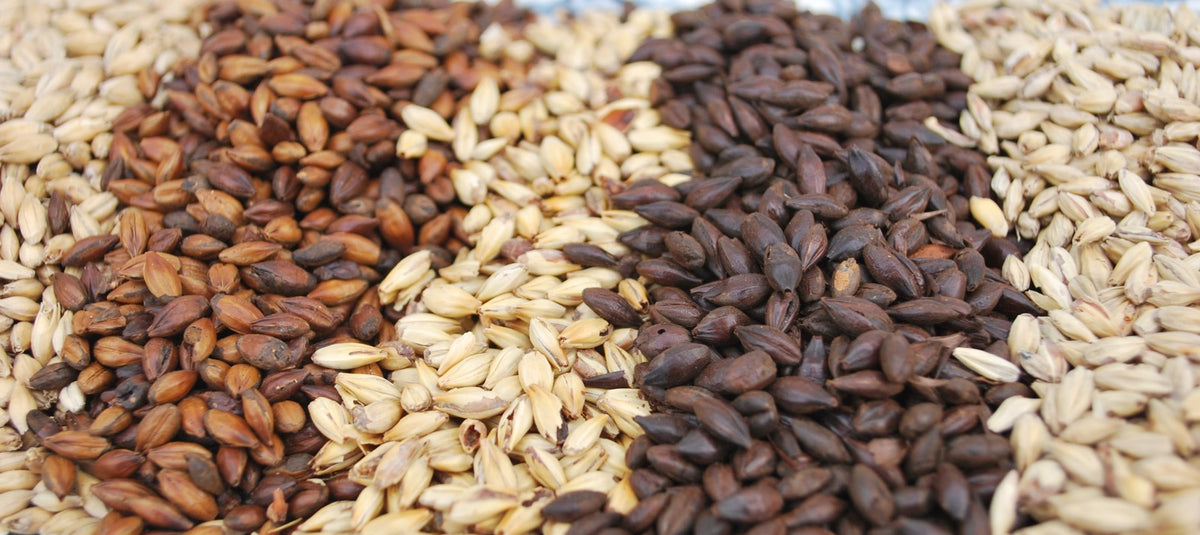 Grain – High Altitude Home Brew Supply